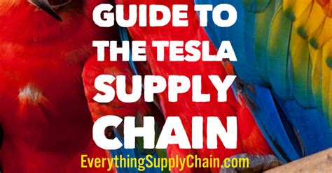 Guide To The Tesla Supply Chain