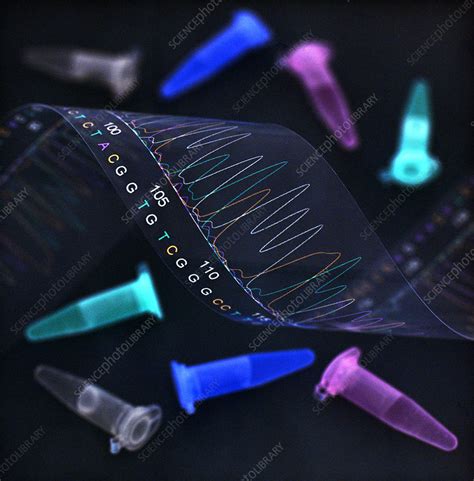 Dna Analysis Stock Image G2101042 Science Photo Library