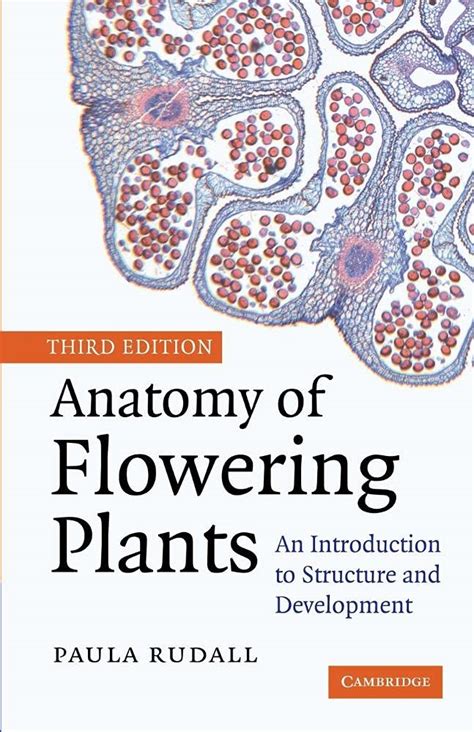 Amazon Anatomy Of Flowering Plants An Introduction To Structure
