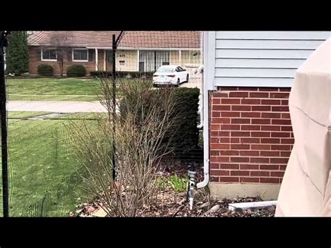 Cat Anti Climb Tree Guard Baffle Kit Purrfect Fence