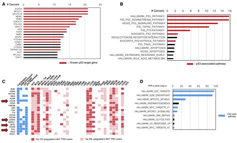 Integrated Analysis Of Tp53 Gene And Pathway Alterations In The Cancer Genome Atlas Cell Reports