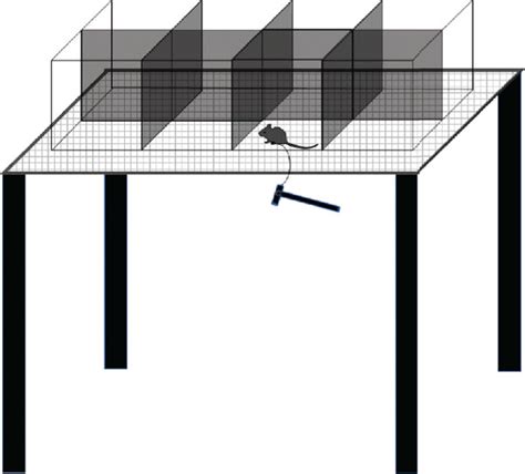 Nrf2 Alleviated The Pelvic Hypersensitivity In Cyp Induced Cystitis