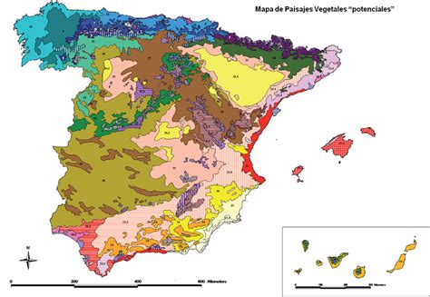 A Mapa De Paisajes Vegetales Potenciales Download Scientific Diagram