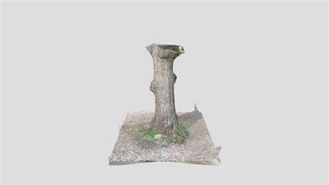 Tree Test Download Free 3d Model By Ibfhnw 3dae7b4 Sketchfab