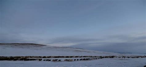 “МАЛЫН ГЕНЕТИК НӨӨЦ” ИЙН ТУХАЙ ХУУЛЬ БАТЛАГДЛАА Control Mn