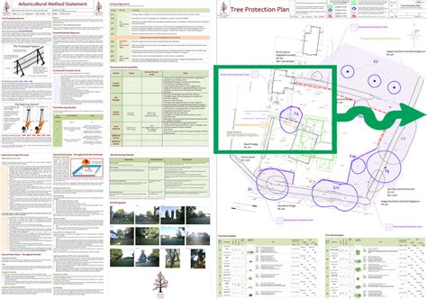 A BS Arboricultural Survey At An Alpaca Farm Crown Tree Consultants