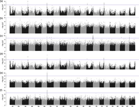 Identification Of A Leaf Rust Resistance Locus A Manhattan Plots