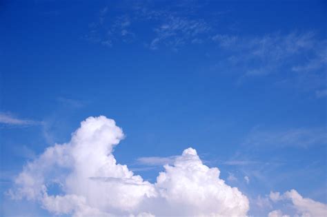 夏の青空の無料写真素材 フリー