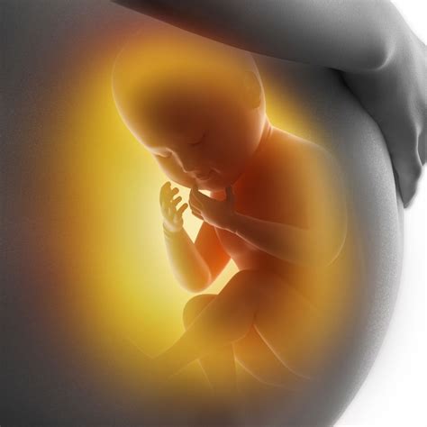 ¿qué Es Y Cómo Prevenir La Macrosomia Durante El Embarazo