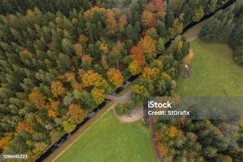 독일 바이에른 숲의 나무 꼭대기위에서 숲의 숲을 바라보는 모습 가문비나무에 대한 스톡 사진 및 기타 이미지 가문비나무 가을 갈색 Istock