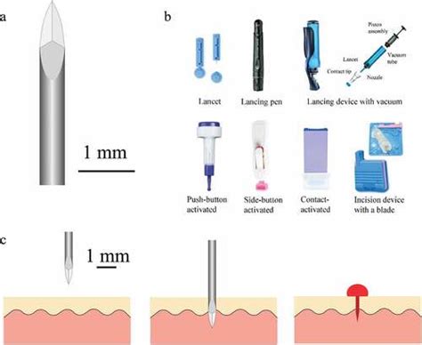 Capillary Puncture Routine Venipuncture