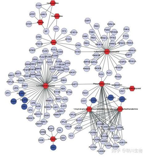 代谢组和转录组的联合研究思路∣代谢组学专题 知乎
