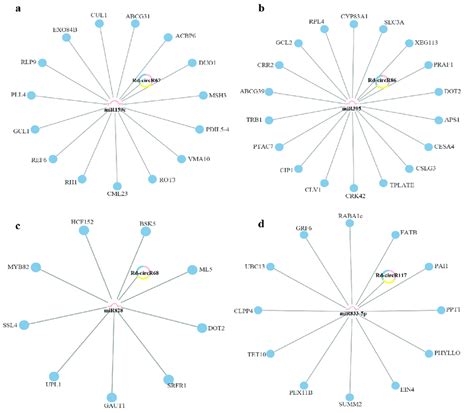 Patterns Of Circrna Expression In Six Stages Inferred By Stem Analysis