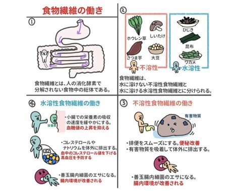「桜新町の歯医者」卑弥呼の歯がいいぜ 噛むことのメリット「卑弥呼の歯がいいぜ」 世田谷区桜新町