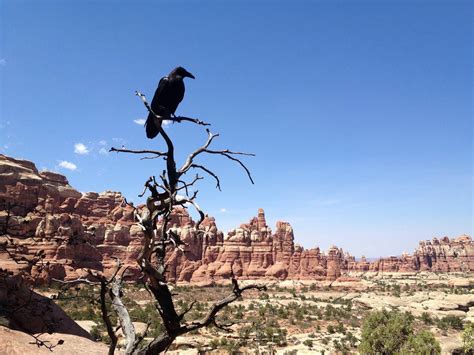 43 Best Needles District Images On Pholder Earth Porn National Park