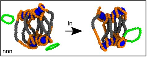 Physical Principles Of Retroviral Integration In The Human Genome EUTOPIA