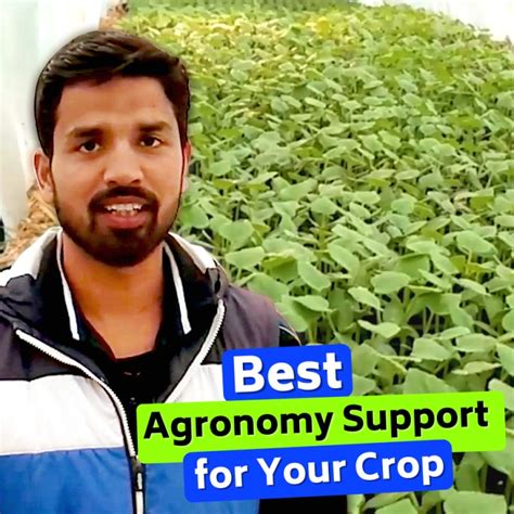 Raj Kamal Prasad On Linkedin Best Agronomy Support For Your Crop