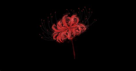 Anime Spider Lily Anime And Manga Sticker Teepublic