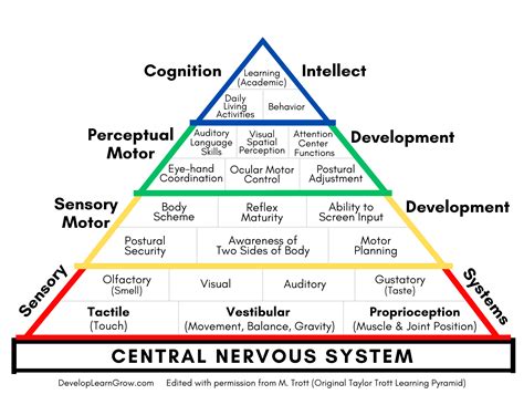 The Sensory Pyramid Of Learning Foundation For Development Develop