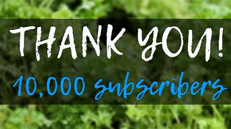 Thank You 10000 Subscribers Youtube