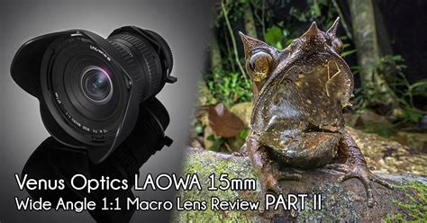 Laowa 15mm F 4 1 1 Wide Angle Macro With Shift MacroDojo