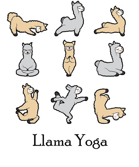 Llama Yoga For Women Men Namaste Om Alpaca Light Digital Art By Nikita Goel