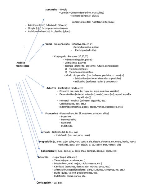 Esquema Morfología Pdf