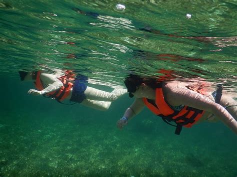 Buceo Xtabay Puerto Morelos 2019 All You Need To Know Before You Go