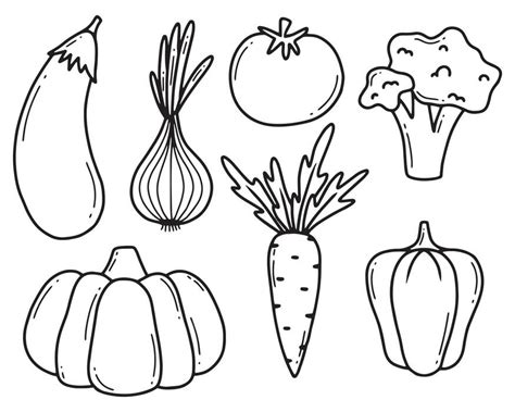 Vegetable Outline Sketch Vector Art Icons And Graphics For Free Download