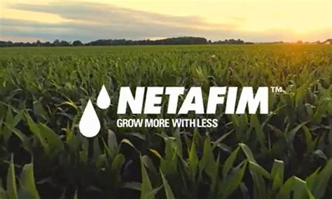 Drip Irrigation By Netafim Foire Internationale Agricole Du Nord Sénégal