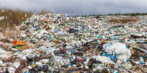 Proporción Persistencia Seda Causas Y Efectos Del Deterioro Del Medio