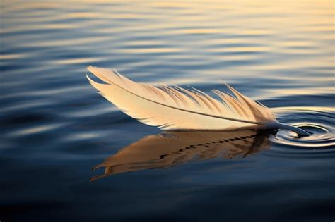 Premium Photo Floating White Feather On Water