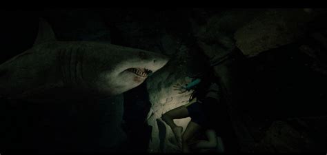 Film 47 Meters Down Uncaged Serangan Hiu Mengerikan Pasundan Ekspres