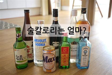 술칼로리 알고마시자 네이버 블로그