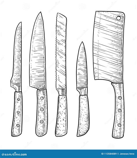Knives Illustration Drawing Engraving Ink Line Art Vector Stock