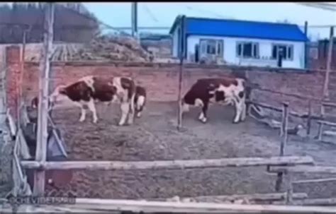 Paul Mccarty Posted On Linkedin