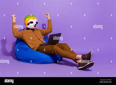 Full Body Portrait Of Crazy Delighted Sloth Head Person Sit Blue Bag