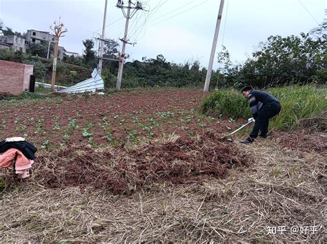 开荒种地之路2 知乎