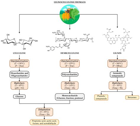 Chemical Catalysts For Biomass Upgrading At Colleen Archibald Blog