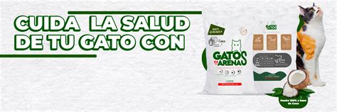 Productos Para Gatos Y Amantes A Los Gatos Gatosyarenas