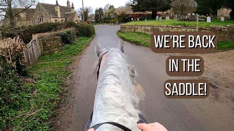 Were Back In The Saddle Dinosaur Mode Activated Equestrian VLOG YouTube