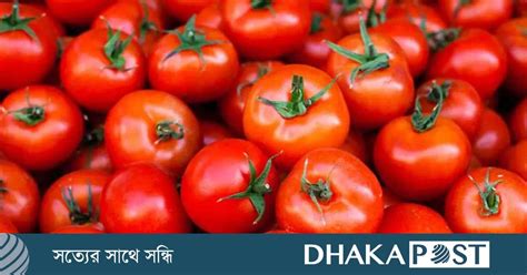 দুর্ঘটনার নাটক করে ট্রাকভর্তি টমেটো ছিনতাই করল দম্পতি