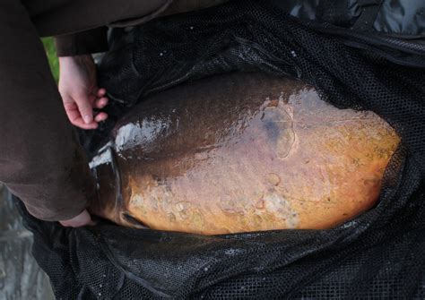 Team Thinking Anglers Baz Lloyd Angler Profile