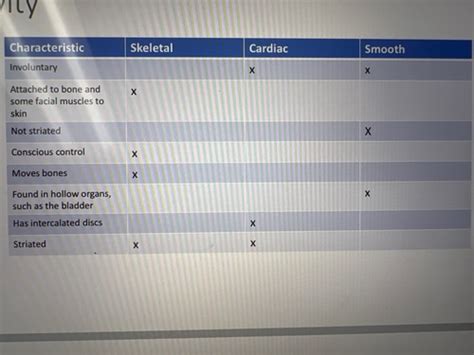 Muscles And Muscle Tissue Flashcards Quizlet