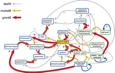 ¿qué Tipos De Mapas Cognitivos Hay Bilbao Bizkaia ¿qué Tipos De Mapas Cognitivos Hay Bilbao Bizkaia