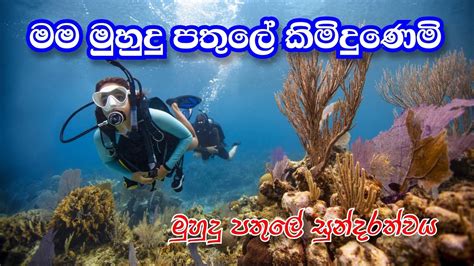 රට වටේ චාරිකා වෙනුවට මුහුදු පතුලට චාරිකාවක් යමු රචනා Youtube