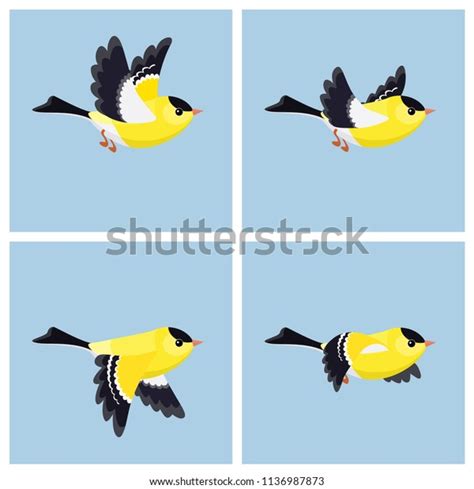 375 Bird Flying Frame By Frame Animation Royalty Free Images Stock