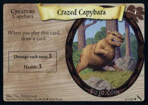 Crazed Capybara Harry Potter Wiki Fandom Powered By Wikia