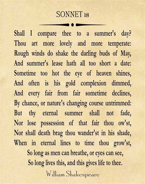 Unlocking The Eternal Mystery Discover The Answers To Sonnet 18