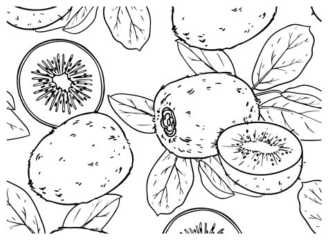 30 Kiwi Fruit Coloring Pages Free Printable Pdf And Online Coloring